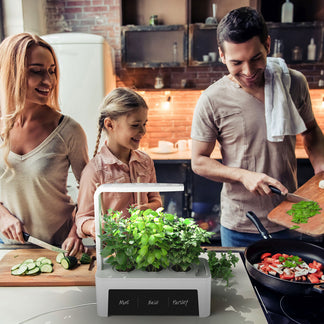 Indoor Hydroponic Smart Garden with HydroSoil Plant Pods – Ermonix