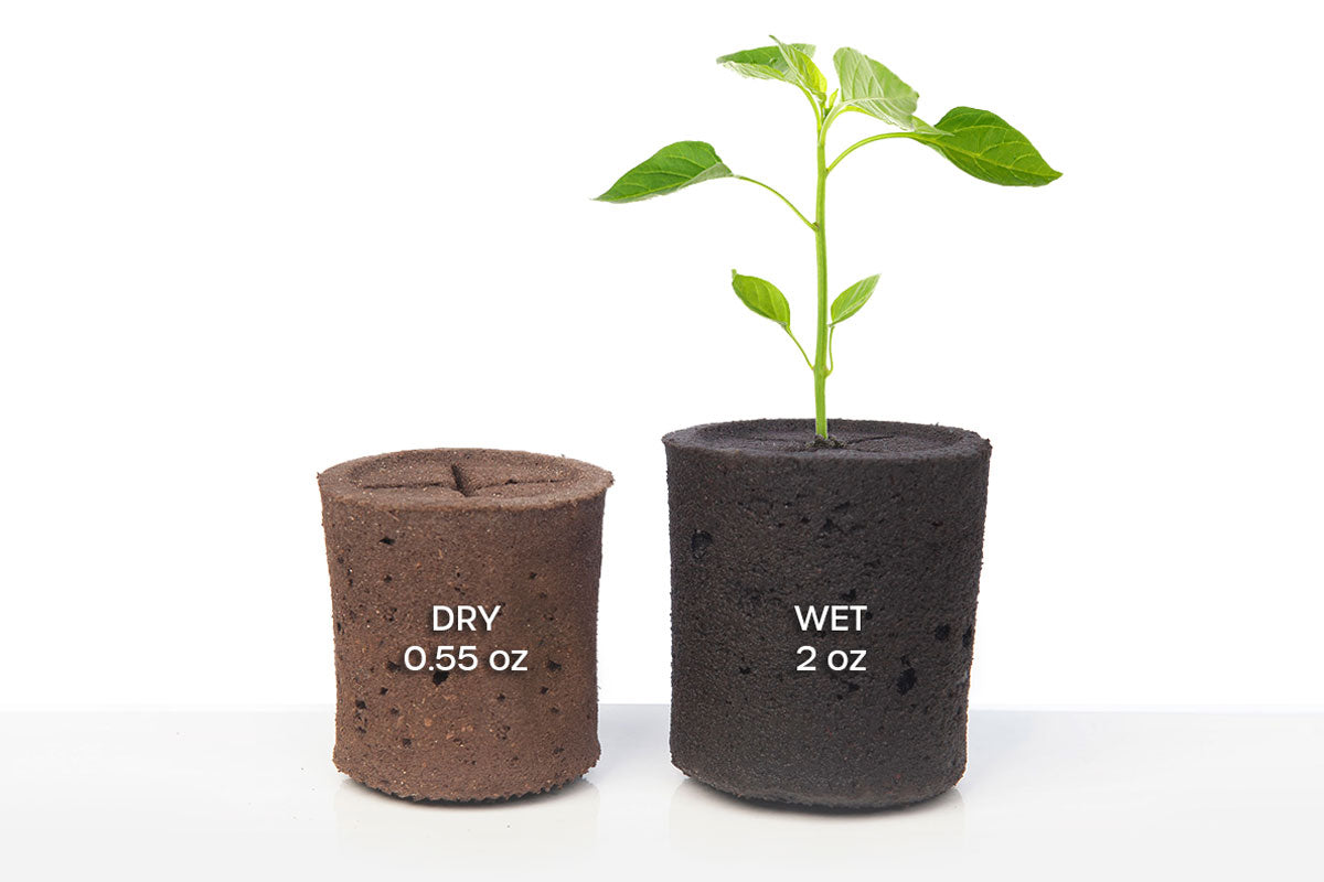 Seedless Smart Soil Plant Pods with Built-In Nutrients – Ermonix