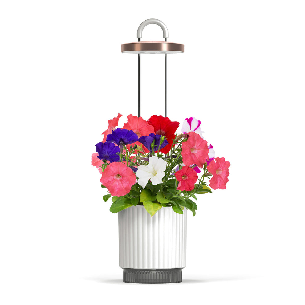 All-In-One Self Watering Vase with Grow Light – Ermonix