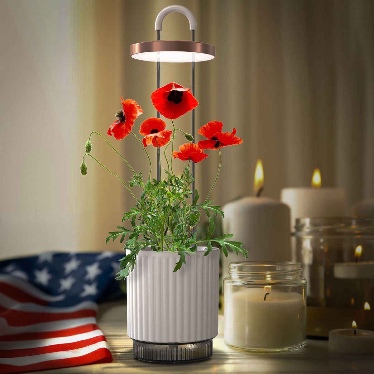 All-In-One Self Watering Vase with Grow Light – Ermonix