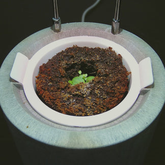 All-In-One Self Watering Vase with Grow Light – Ermonix